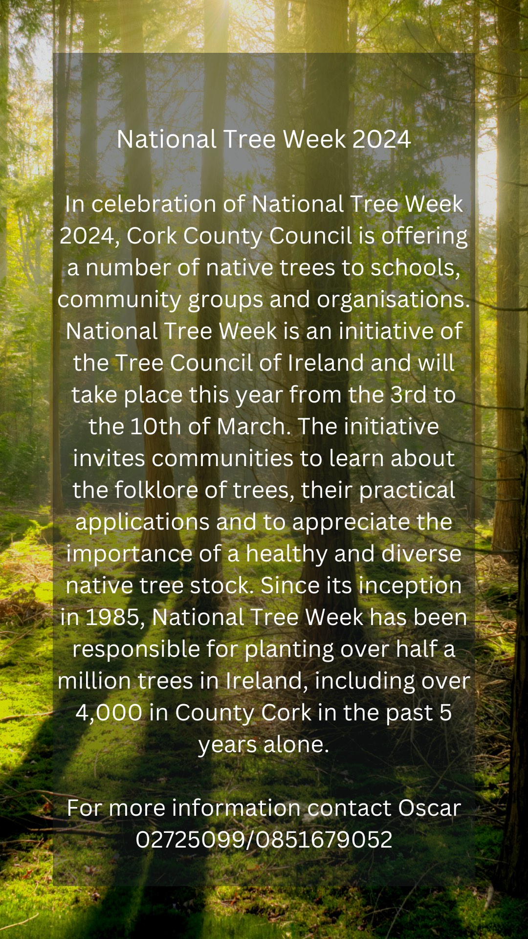 National Tree Week - Bere Island